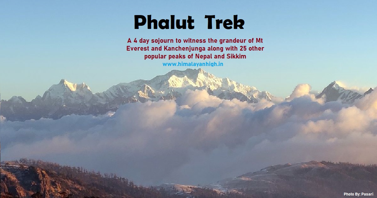 Phalut Trek - 4 Days Easy Trek For Beginners - Himalayan High